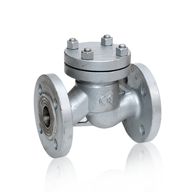 LIFT TYPE CHECK VALVE PN 40